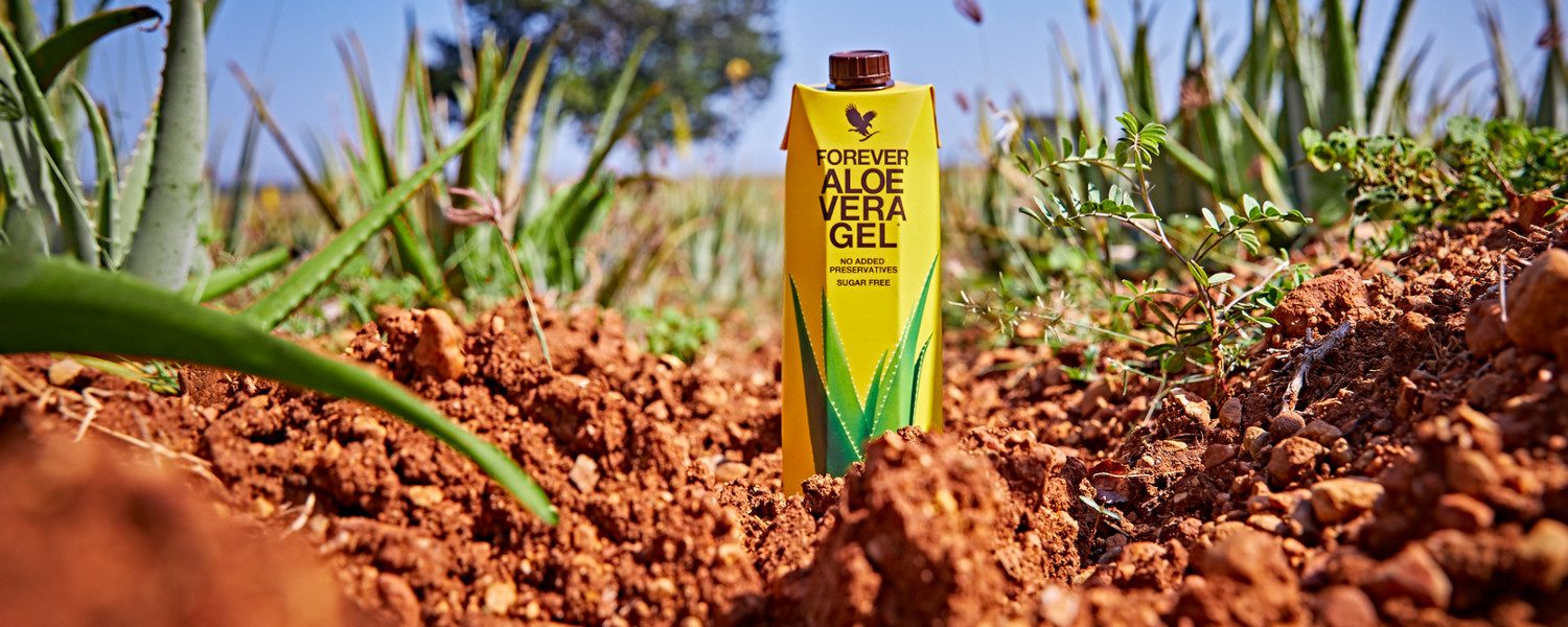 Форевър блог - Защо обичаме ГЕЛА ОТ АЛОЕ ВЕРА